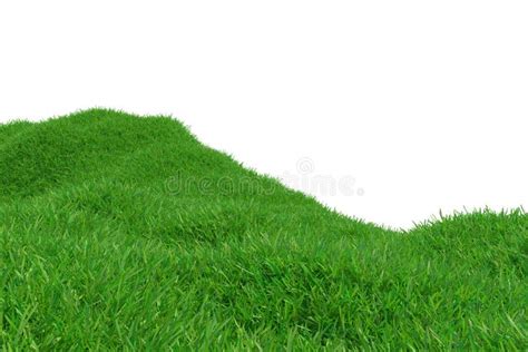 Green Grass Hill Isolated On White Background Natural Background
