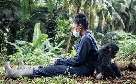 Newstar Newstar Candy Ii Set 267 Page 2 Africa Geographic