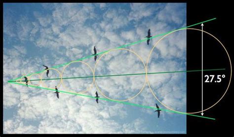Phi Scaling Angle Geometry In Nature Golden Ratio Golden Pages