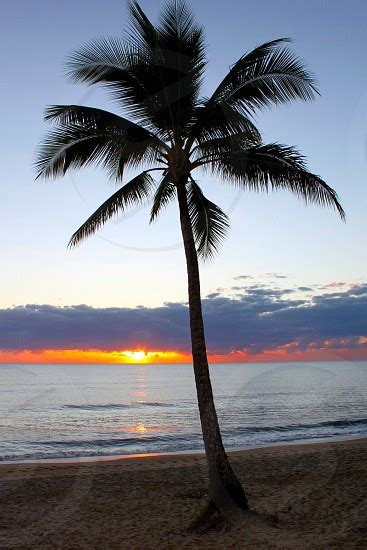 Sunrise On The Beach With Palm Trees