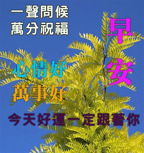 同学早上好图片 同学群里早上好的图片 同学群早上好图片带字 第7页 大山谷图库