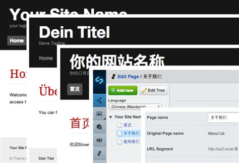 Making Silverstripe Fluent In Other Languages Silverstripe Cms