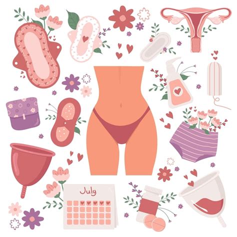 Conjunto de ilustrações sobre os períodos de menstruação sistema reprodutivo do útero feminino