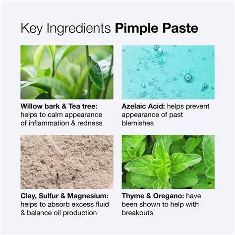 Pimple Paste Overnight Drying Paste Innbeauty Project Beauty