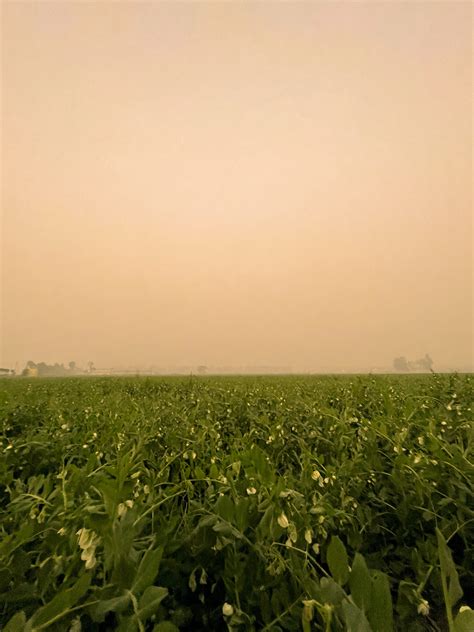 Animesh Srivastava Photography