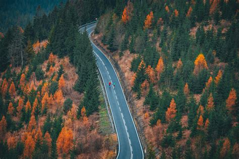 산악 도로에서 건강한 달리기 주자 남자 운동 조깅 남성 피트니스 모델은 놀라운 자연 풍경에서 숲 길에서 마라톤 훈련을 운동 Track And Field Event에 대한