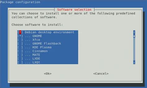 Install And Configure Tigervnc Vnc On Debian Computingforgeeks
