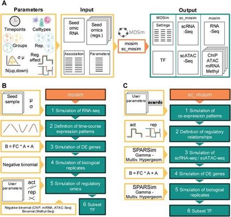 Mosim Bulk And Single Cell Multilayer Regulatory Network Simulator