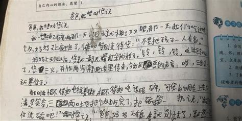 男孩弑母案续男孩曾写作文称“失去的爱太多了”手机新浪网