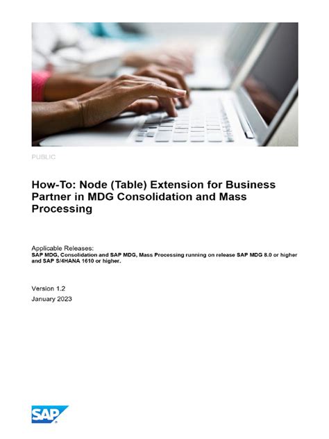 Sap How To Guide Node Table Extension For Business Partner In Mdg