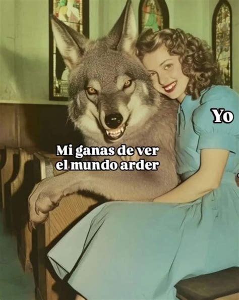 Pin De Viku En Stickers En 2025 Imágenes Graciosas Imágenes