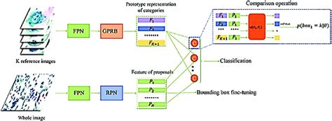 the overall structure of the comparison detector proposed for feature