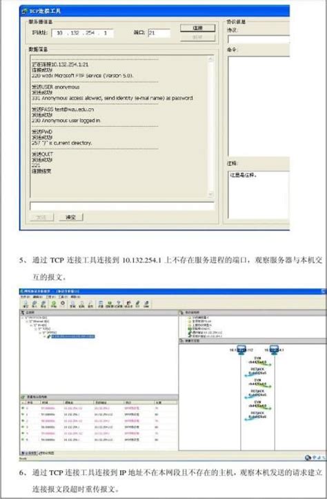 协议分析实验报告（八篇） 范文118