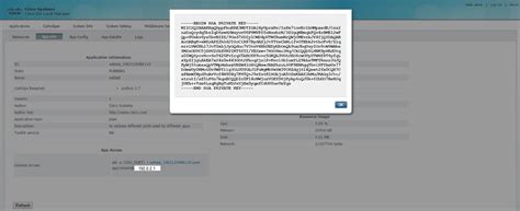 Configure APP Console Access For Cisco IOx Cisco