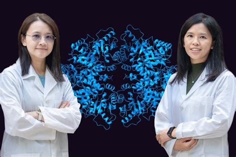 破解科學界百年謎團！清大揭開癌細胞愛吃糖的秘密 找到治療癌症關鍵