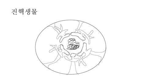 자연사에 대한 설명 지구 그 45억년의 역사 Ppt Download