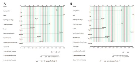 Figure 1 From The Prognostic Significance Of The Fibrinogen To Albumin