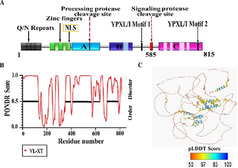Sequence And Structural Features Of Pacc A Domain Diagram Of T Download Scientific Diagram