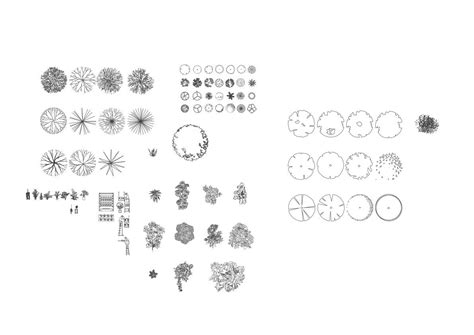 Ultimate Tree Collection SVG Files For Architectural Plans Sections Etsy
