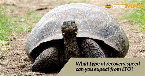 What Should You Expect For Lto Recovery Speed