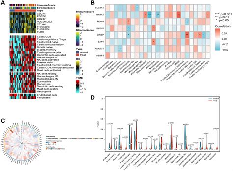 Identification And Validation Of Ferroptosis Related Gene Slc2a1 As A