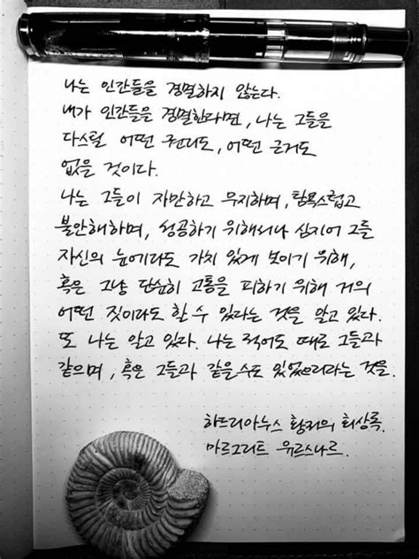 언제부턴가 조금 쓸쓸한 기분이 드는 밤이면 “하드리아누스 황제의 회상록”을 조금씩 읽곤 한다 벨기에 출신의 소설가가 경이로운 상상력을 발휘하여 창조한 로마 황제의 세밀한