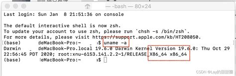 判断mac是macos X64 或者macos Arm64macos X64 、 Macos Arm64 Csdn博客