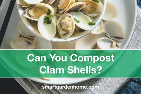 Can You Compost Clam Shells Smart Garden And Home