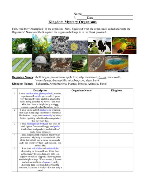 Kingdom Classification Worksheet