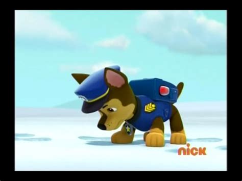 Paw Patrol Images Chase The German Shepherd Wallpaper And Background