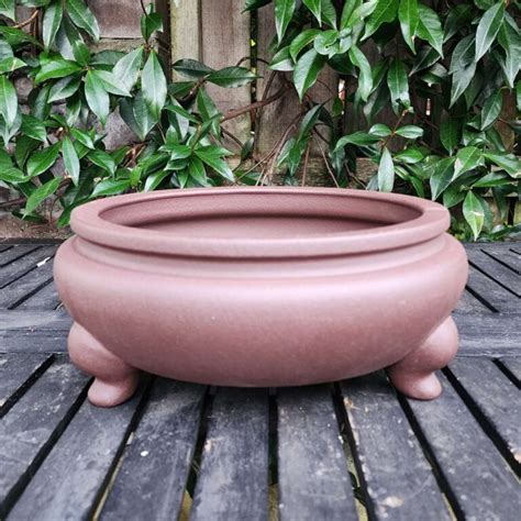 Bonsai Pot M1648b 2 Colors Nz No1 Bonsai Pots Supplier