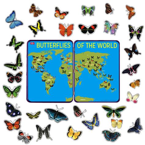 Butterflies Of The World Poster