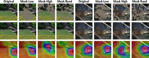 figure 2 from masked autoencoders are robust data augmentors semantic
