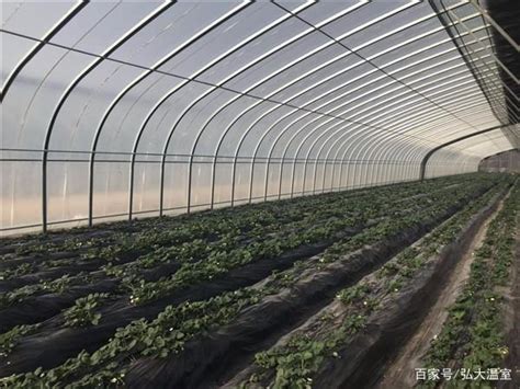 日光温室的建造与设计 知乎
