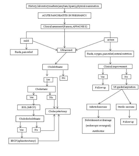 Acute Pancreatitis During Pregnancy IntechOpen