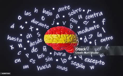스페인어 학습 외국어 유창성 향상 인간의 두뇌 스페인 국기 색상 편지 기사 단어 3d 렌더링 스페인어에 대한 스톡 사진 및 기타 이미지 Istock