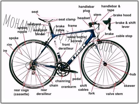 Mohammed Anatomy Of A Road Bicycle This Labeled Diagram Identifies