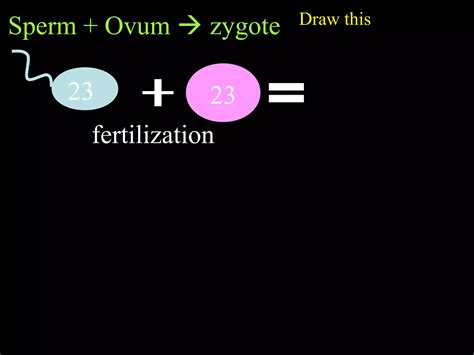 Cell Differentiation And Differential Gene Expression Ppt