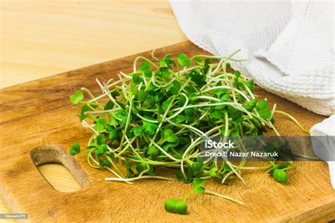 나무 도마에 다이콘 무 마이크로 그린 새싹의 무리클로 무 녹색 부엌 테이블에서 촬영 0명에 대한 스톡 사진 및 기타 이미지 0명 건강한 생활방식 건강한 식생활