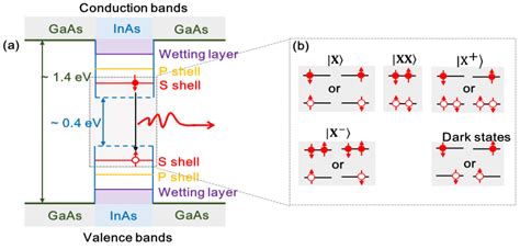 Quantum Light Source Based On Semiconductor Quantum Dots A Review
