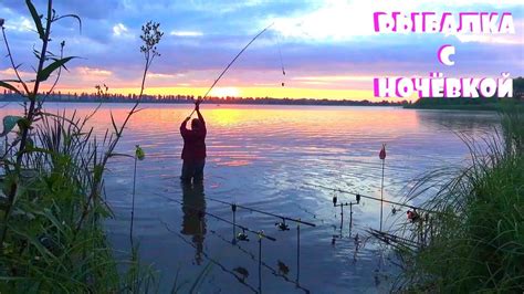 Рыбалка с Ночёвкой на дикой реке Такого клева карпа на бойлы я в жизни не видел Youtube