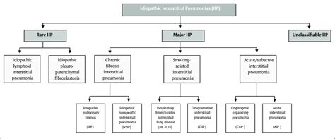 Interstitial Lung Disease Classification