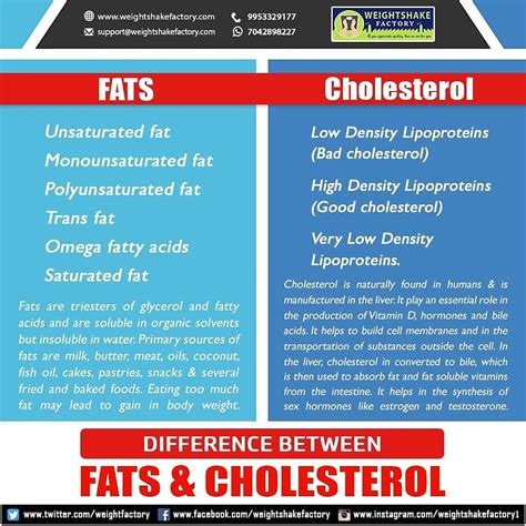 DIFFERENCE BETWEEN FATS CHOLESTEROL Https Instagram P