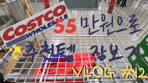 일상브이로그 Vlog 12 미친물가 55만원 순삭장보기 코스트코추천템구입냉장고김치정리부추전하루의끝은배달 Youtube