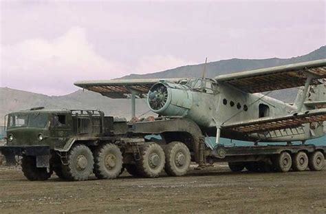 Maz-537