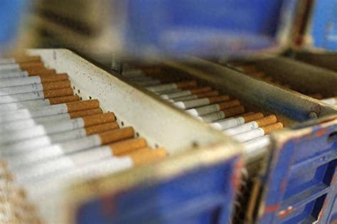 世卫组织：全球烟草使用率继续下降报告控制保护