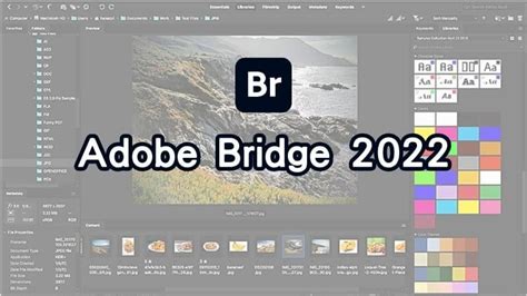 Adobe Bridge 2022 永久啟用 Win Mac 免費下載安裝完整教學 快克資源網