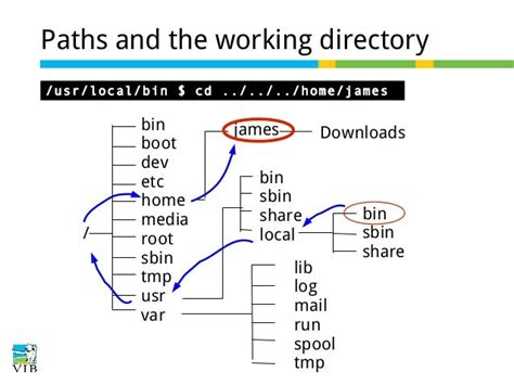 The Structure Of Linux Introduction To Linux For Bioinformatics