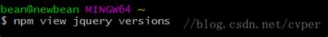 Npm 如何查看一个包的版本信息？npm 查看安装的包 版本 Csdn博客