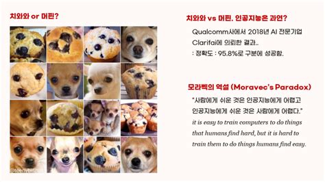 Ai 기초 Ii 2 컴퓨터 비전 1